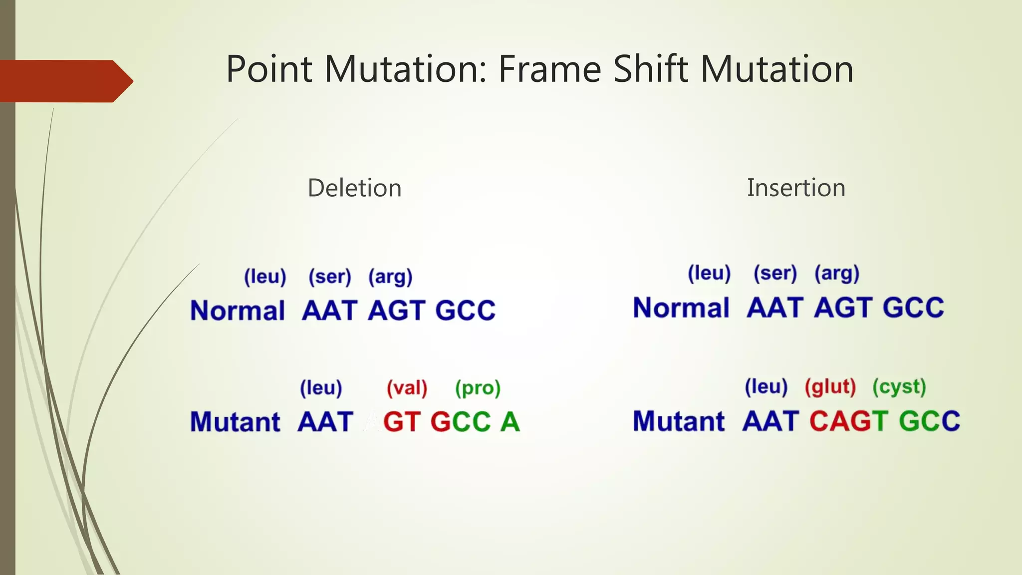 Bacterial genetics | PPT