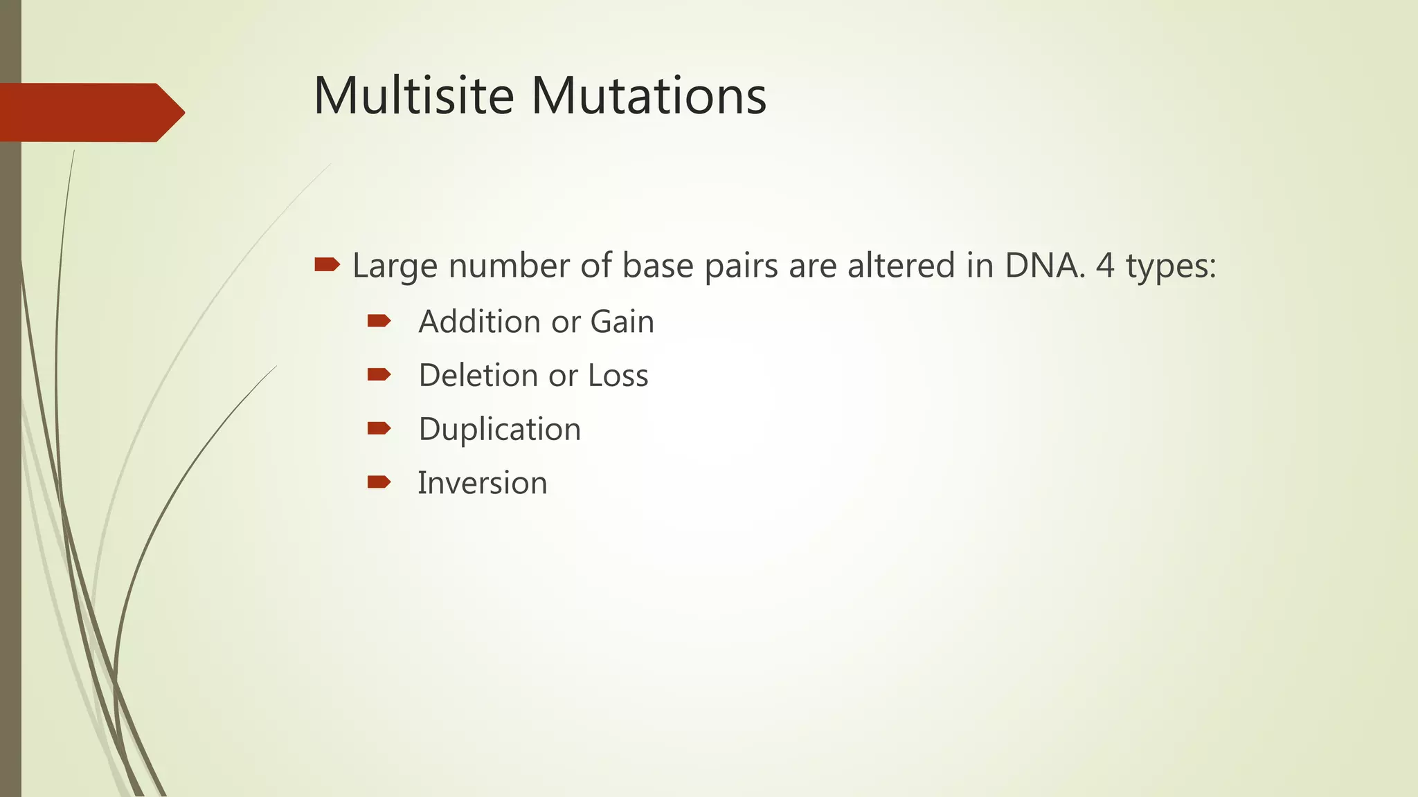 Bacterial genetics | PPTX