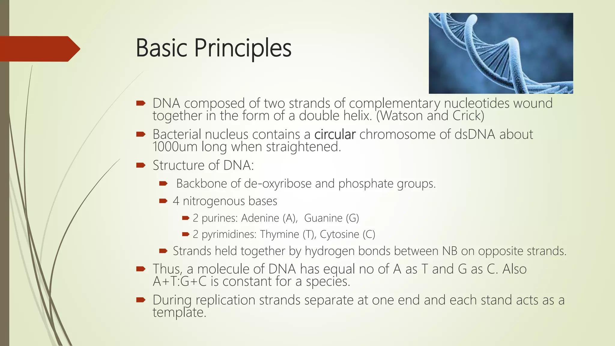 Bacterial genetics | PPTX