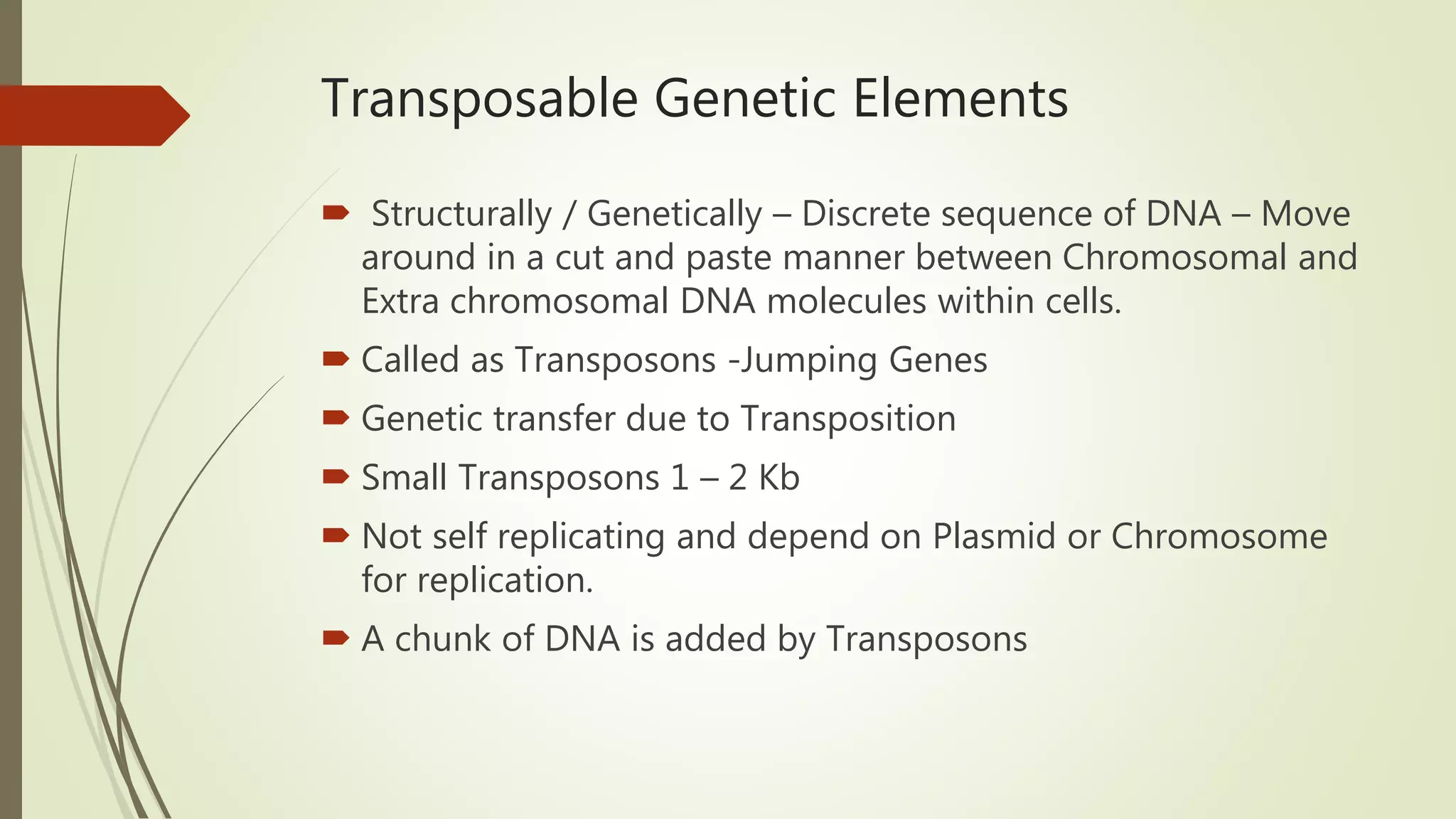 Bacterial genetics | PPTX