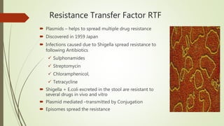 Bacterial genetics | PPTX