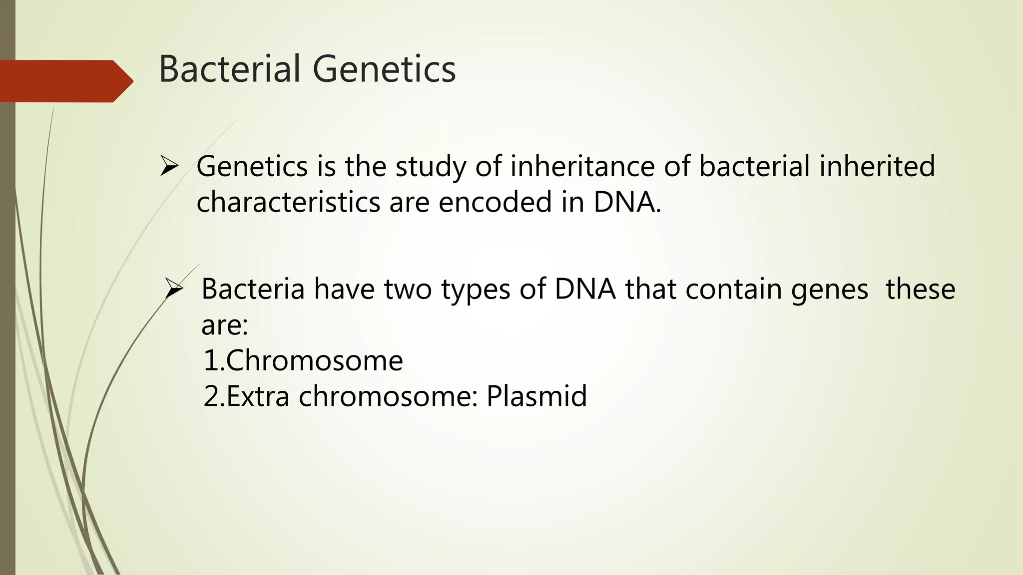 Bacterial genetics | PPT