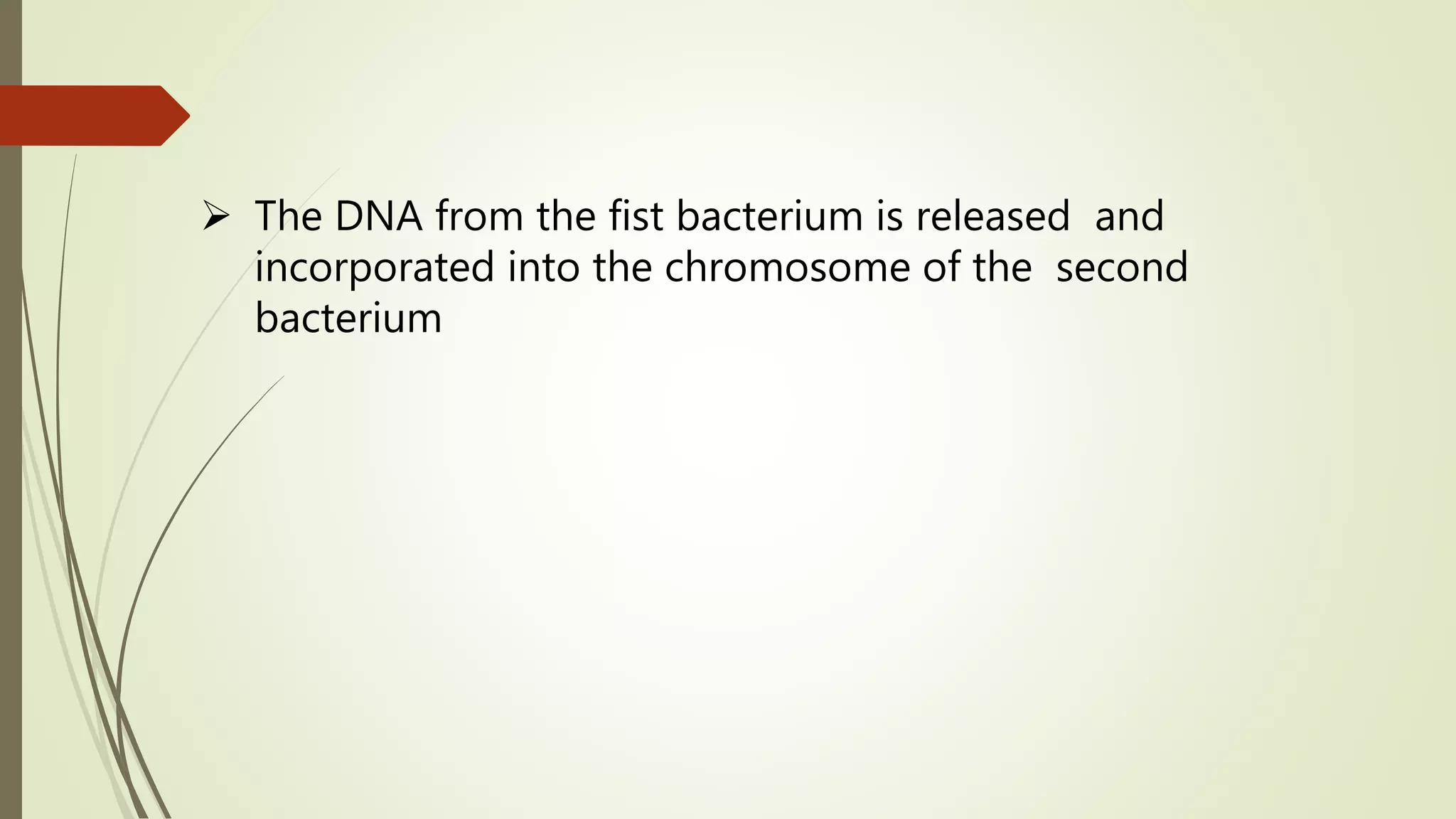 Bacterial genetics | PPT