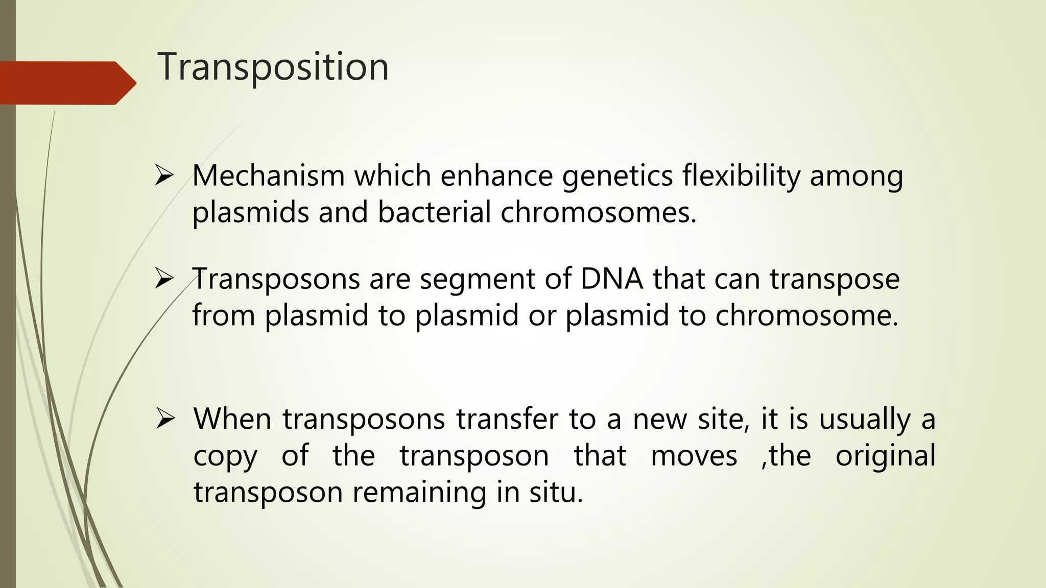 Bacterial Genetics Ppt