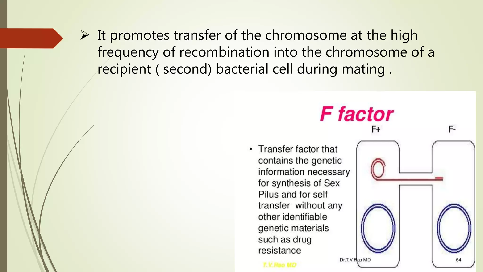 Bacterial genetics | PPT