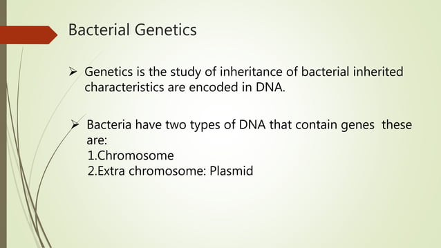 Bacterial genetics | PPT