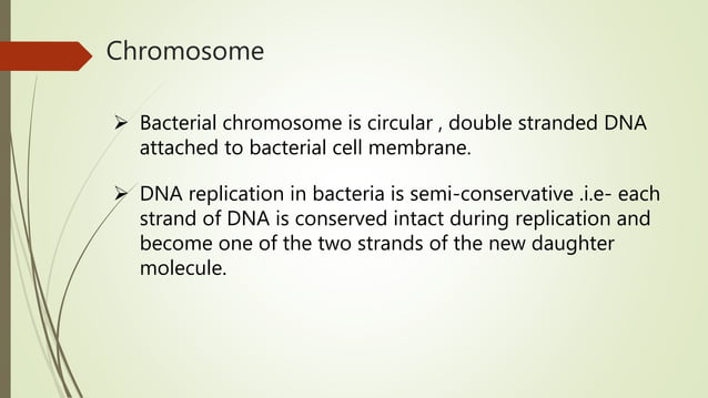 Bacterial genetics | PPT