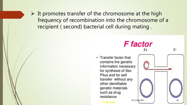 Bacterial genetics | PPT