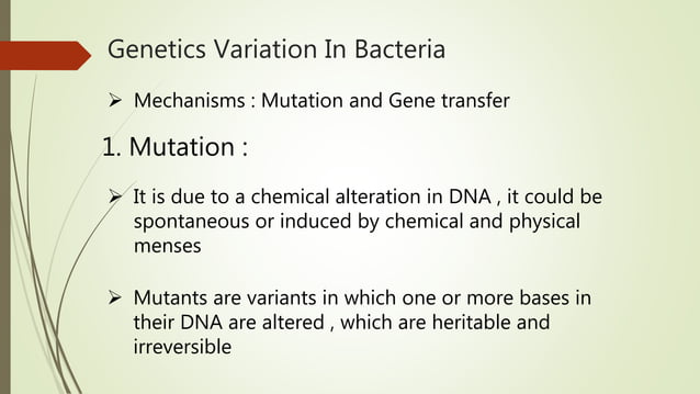 Bacterial genetics | PPT