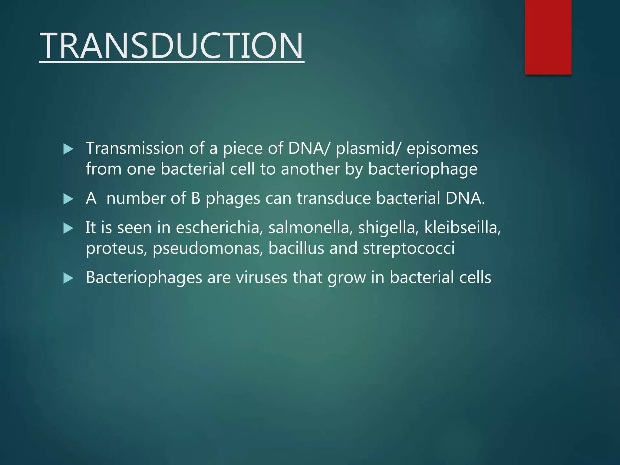 Bacterial genetics | PPTX