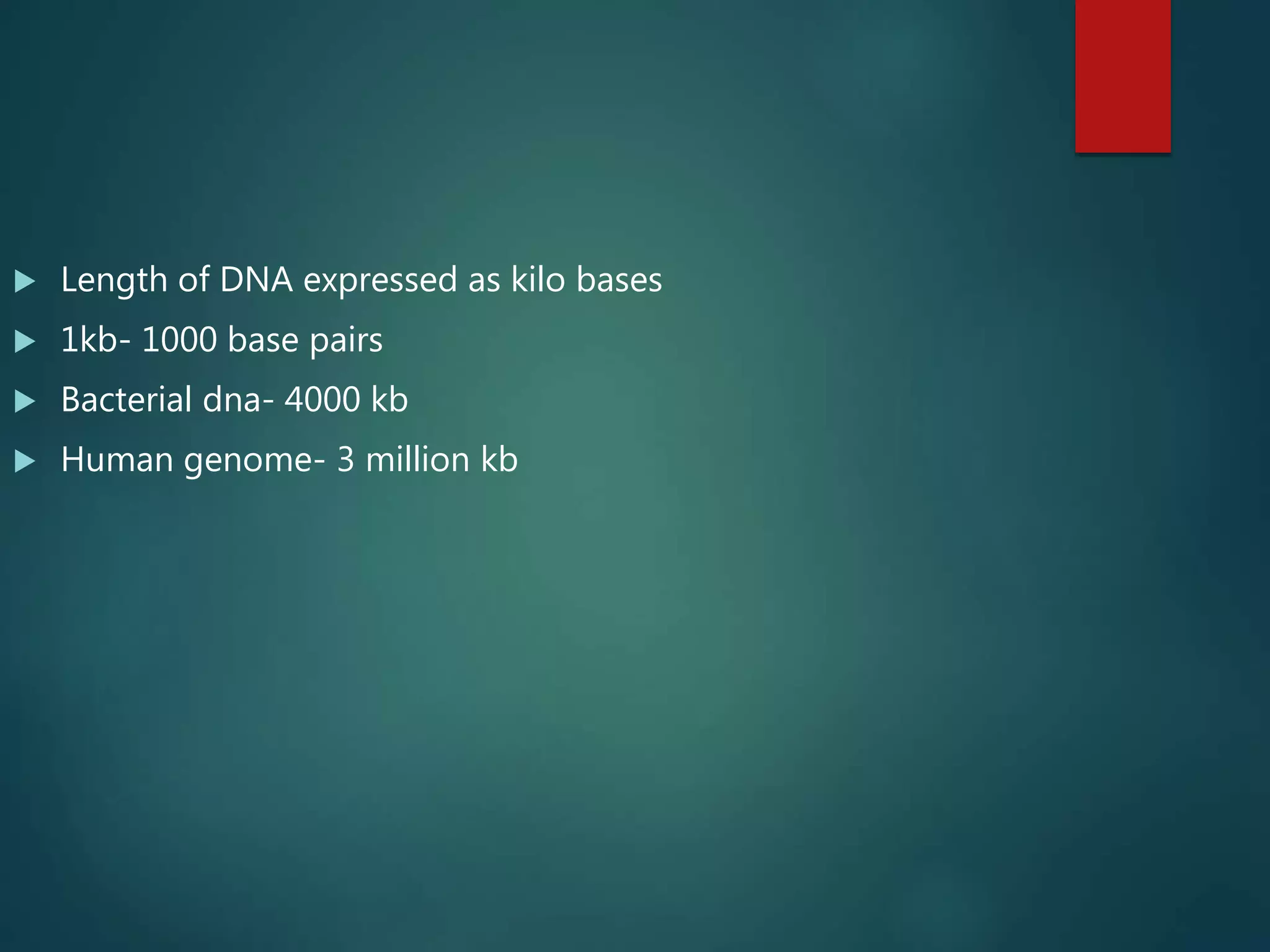 Bacterial genetics | PPTX