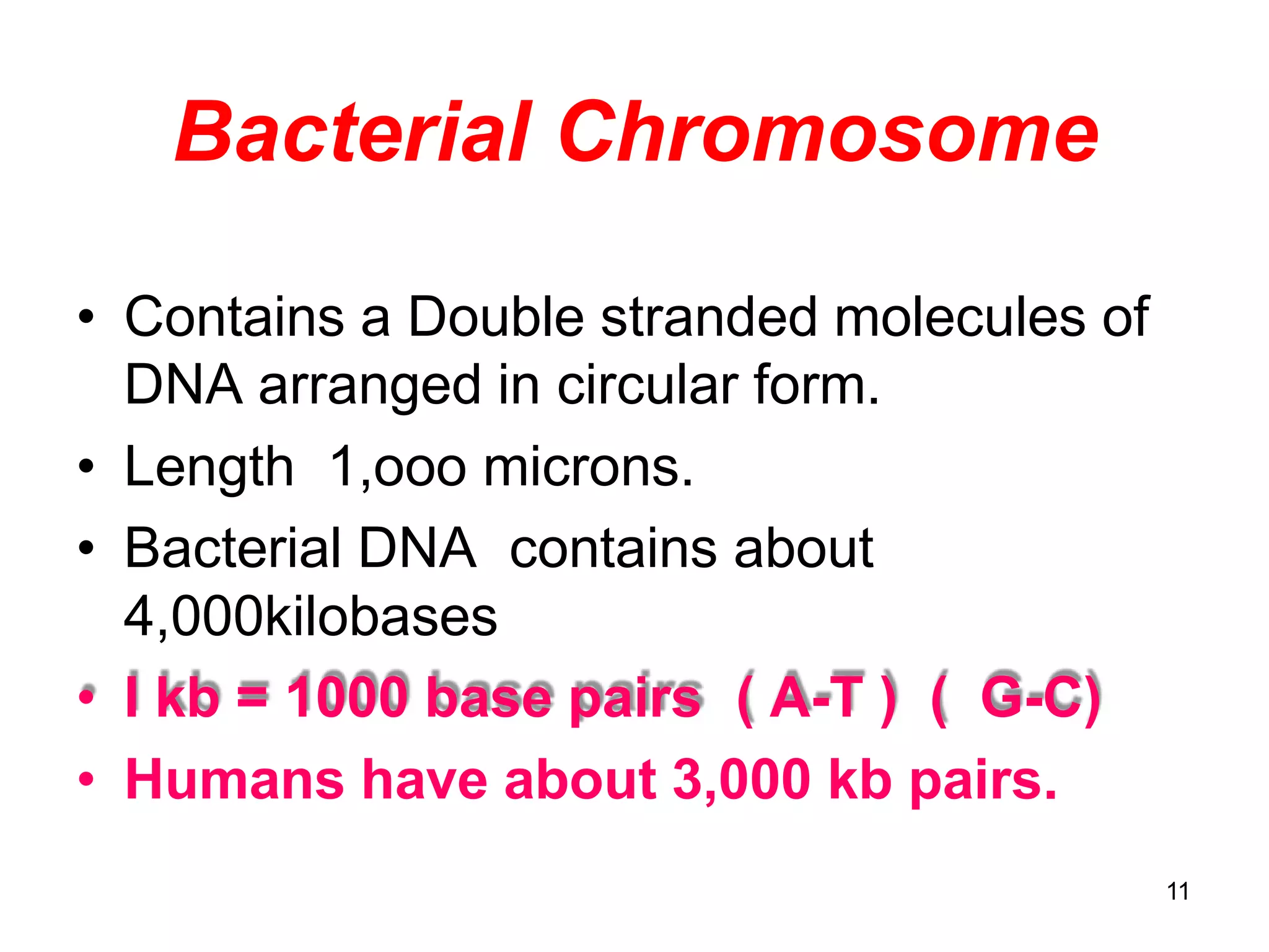 bacterial genetics.pptx