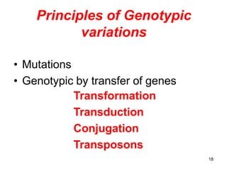 bacterial genetics.pptx