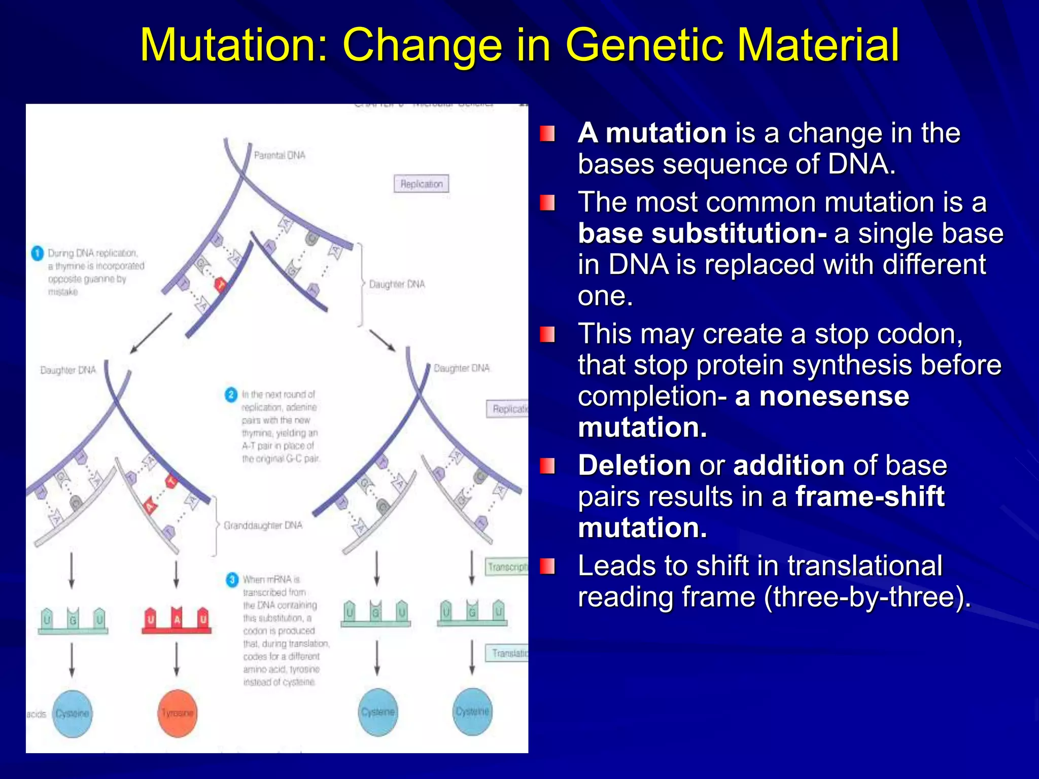 BACTERIAL GENETICS.ppt