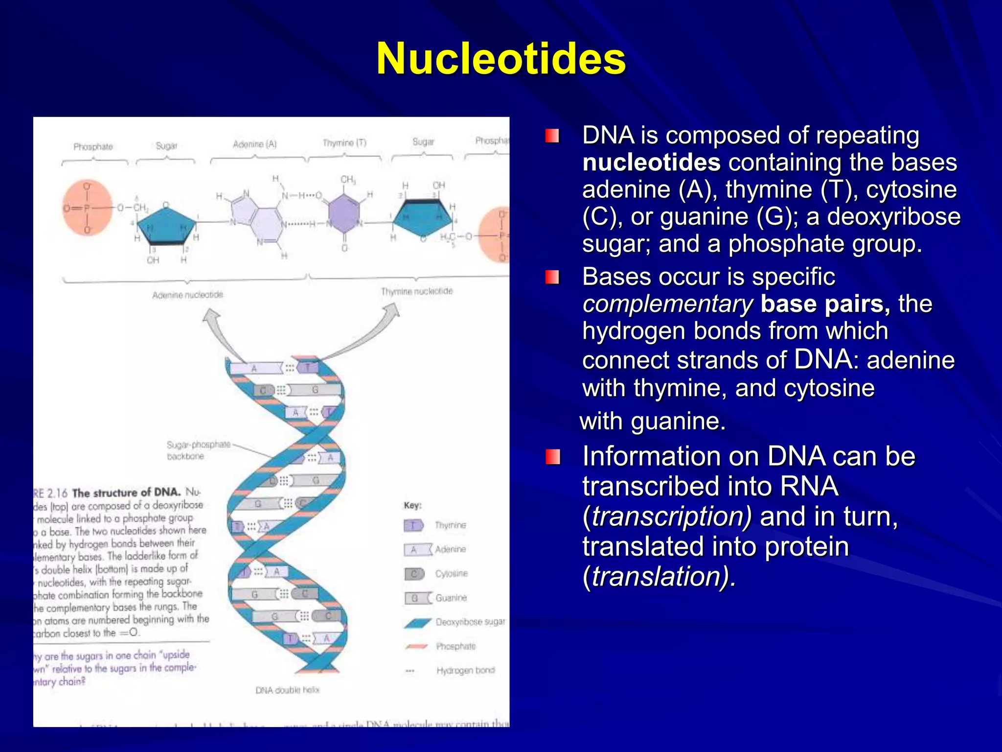 BACTERIAL GENETICS.ppt