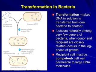 BACTERIAL GENETICS.ppt
