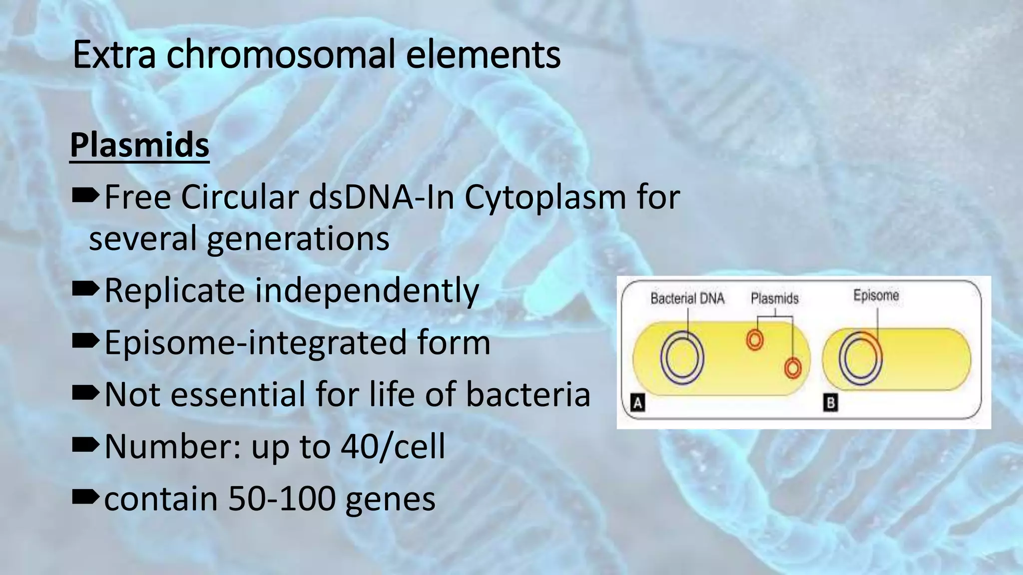 Bacterial Genetics.pptx