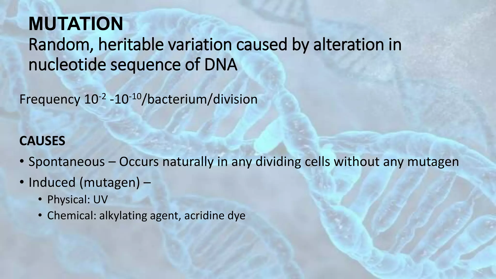 Bacterial Genetics.pptx