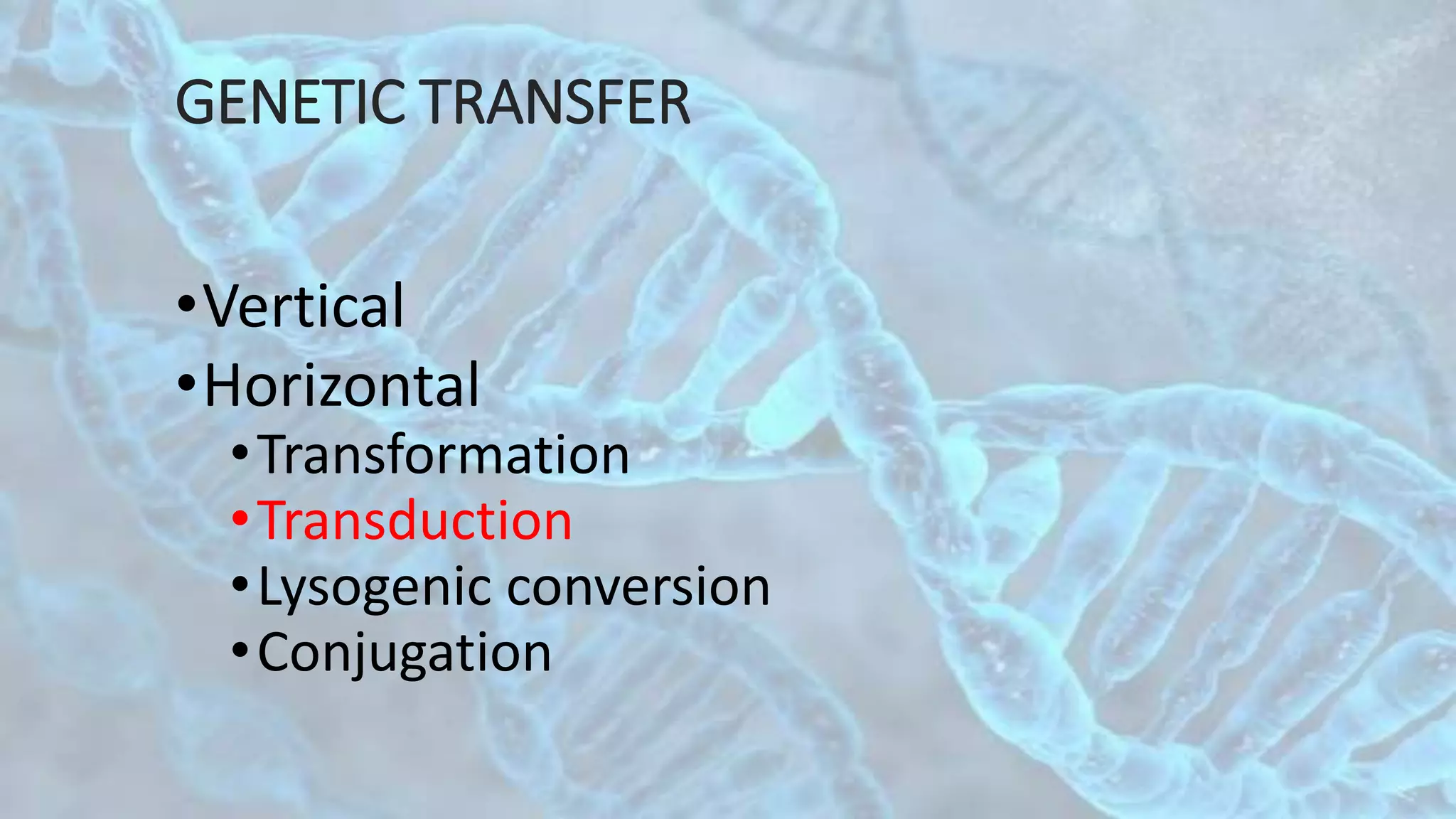 Bacterial Genetics.pptx