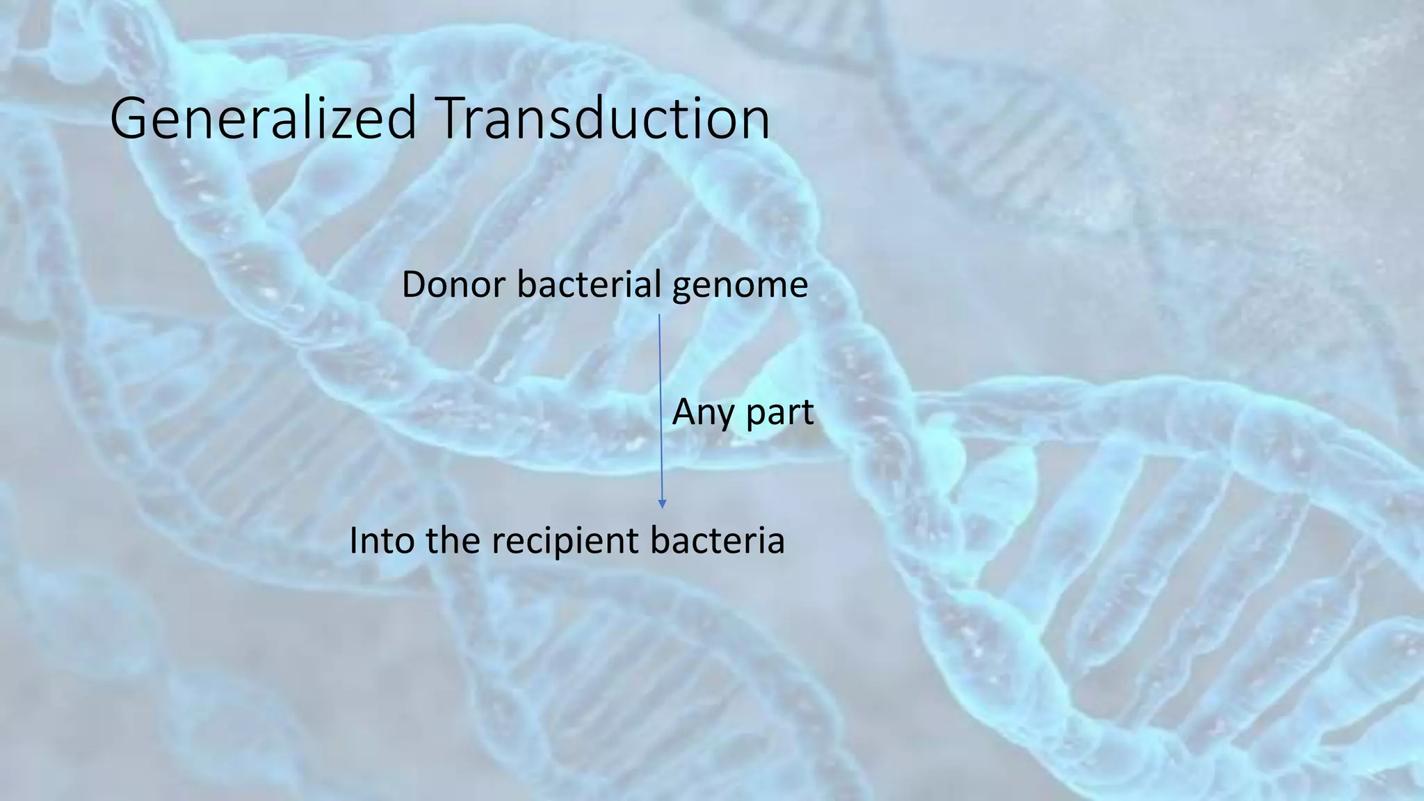 Bacterial Genetics.pptx