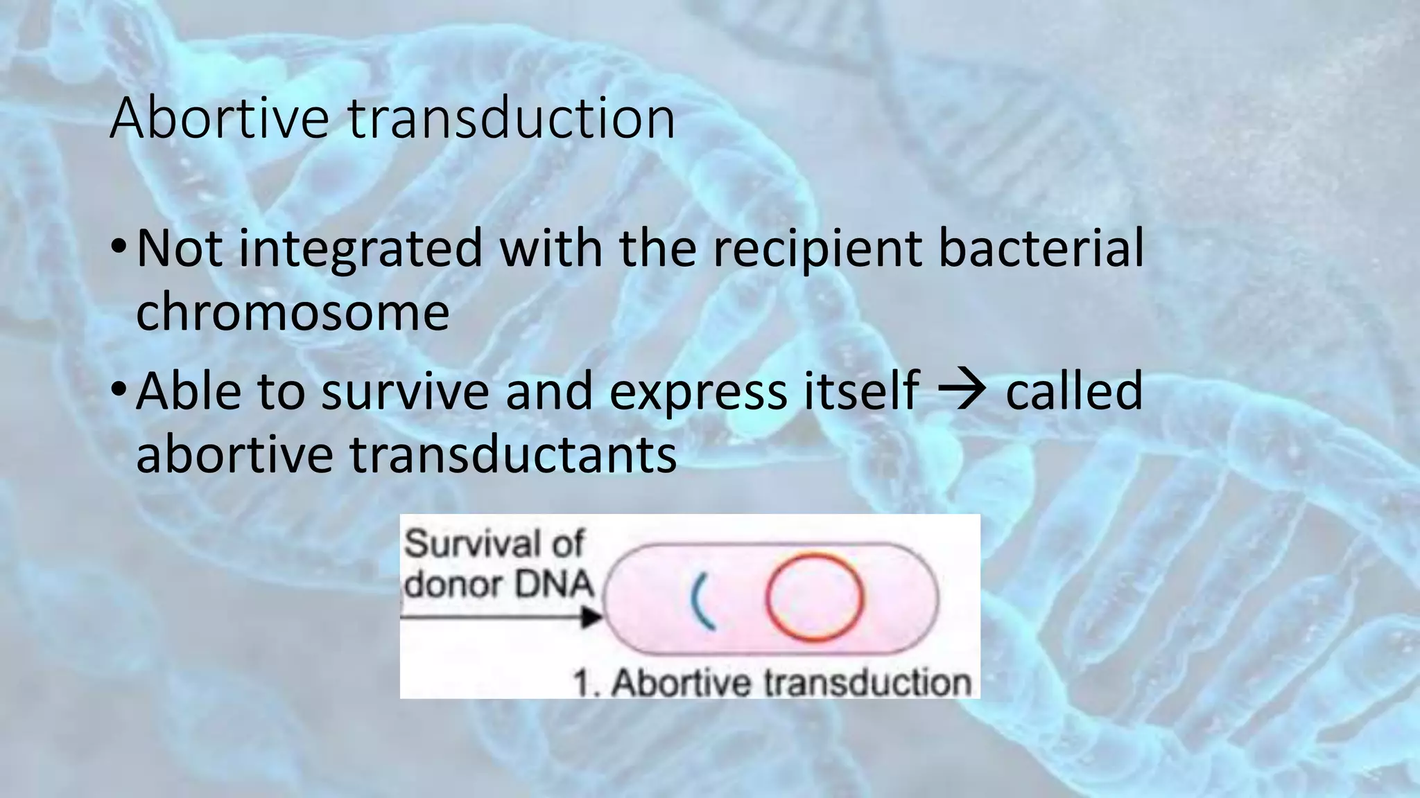 Bacterial Genetics.pptx