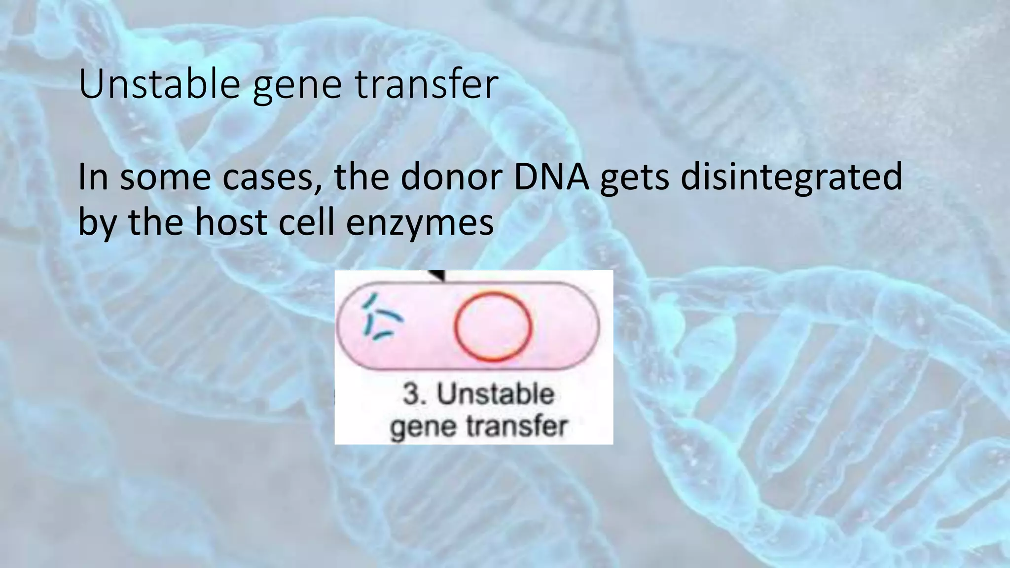 Bacterial Genetics.pptx
