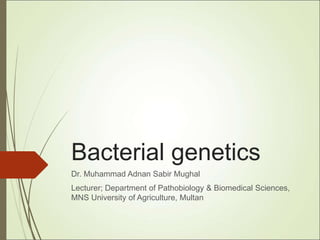 Brief Introduction to Bacterial genetics.ppt