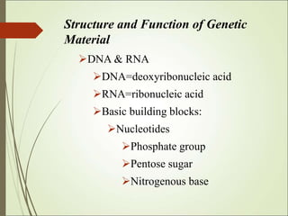 Brief Introduction to Bacterial genetics.ppt
