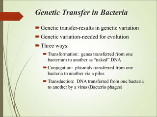 Brief Introduction to Bacterial genetics.ppt