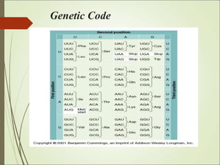 Brief Introduction to Bacterial genetics.ppt