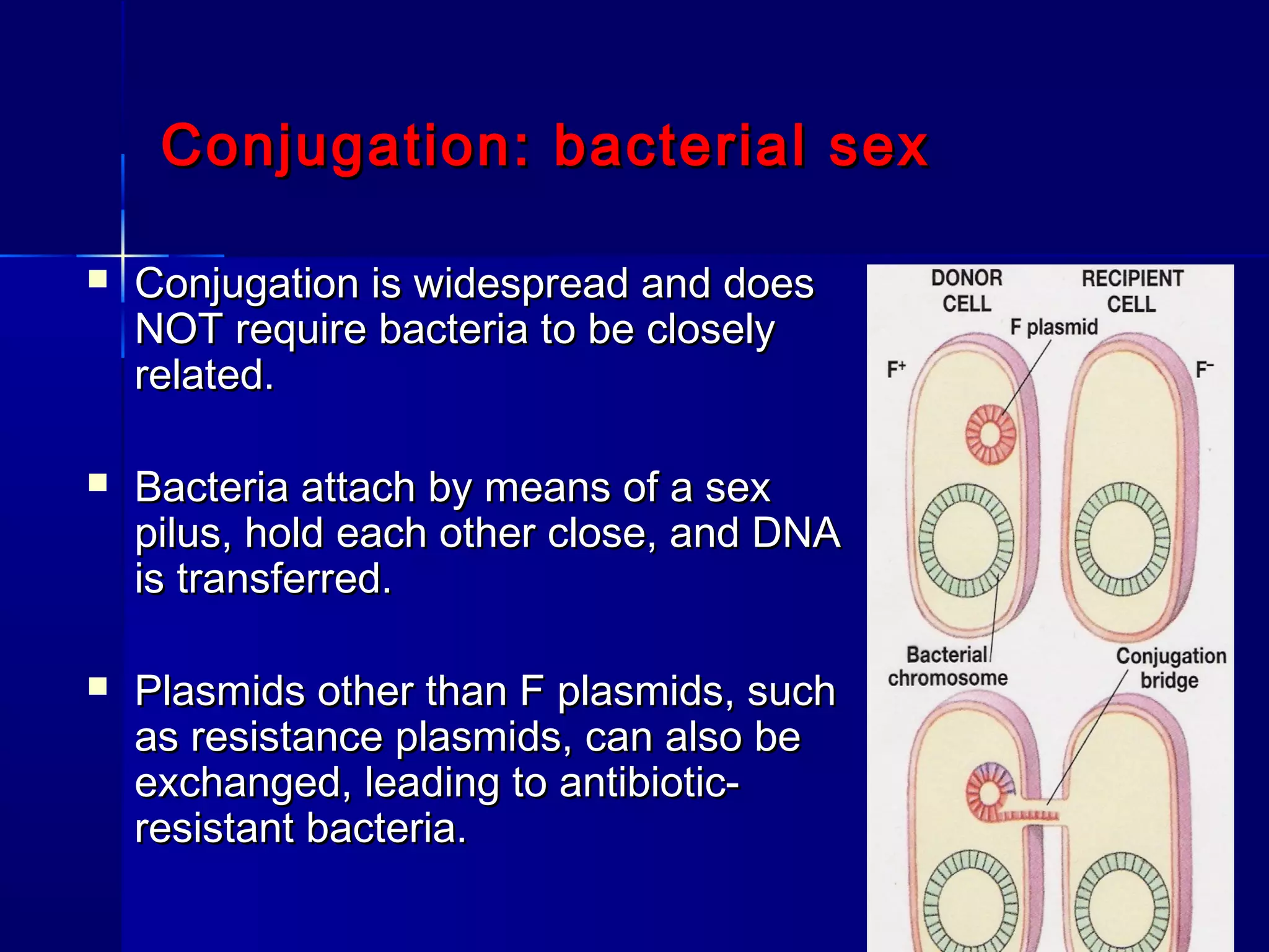 Bacterial genetics | PPT