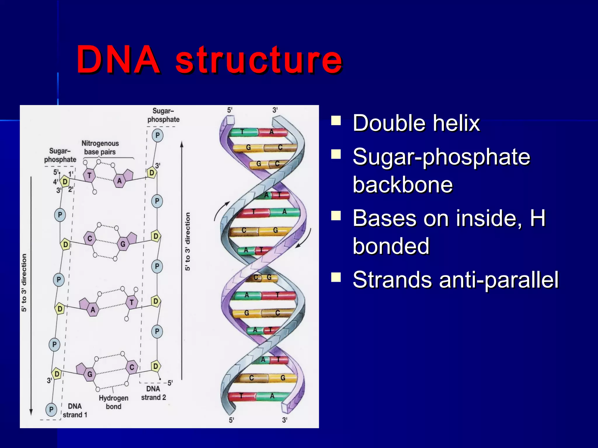 Bacterial genetics | PPT