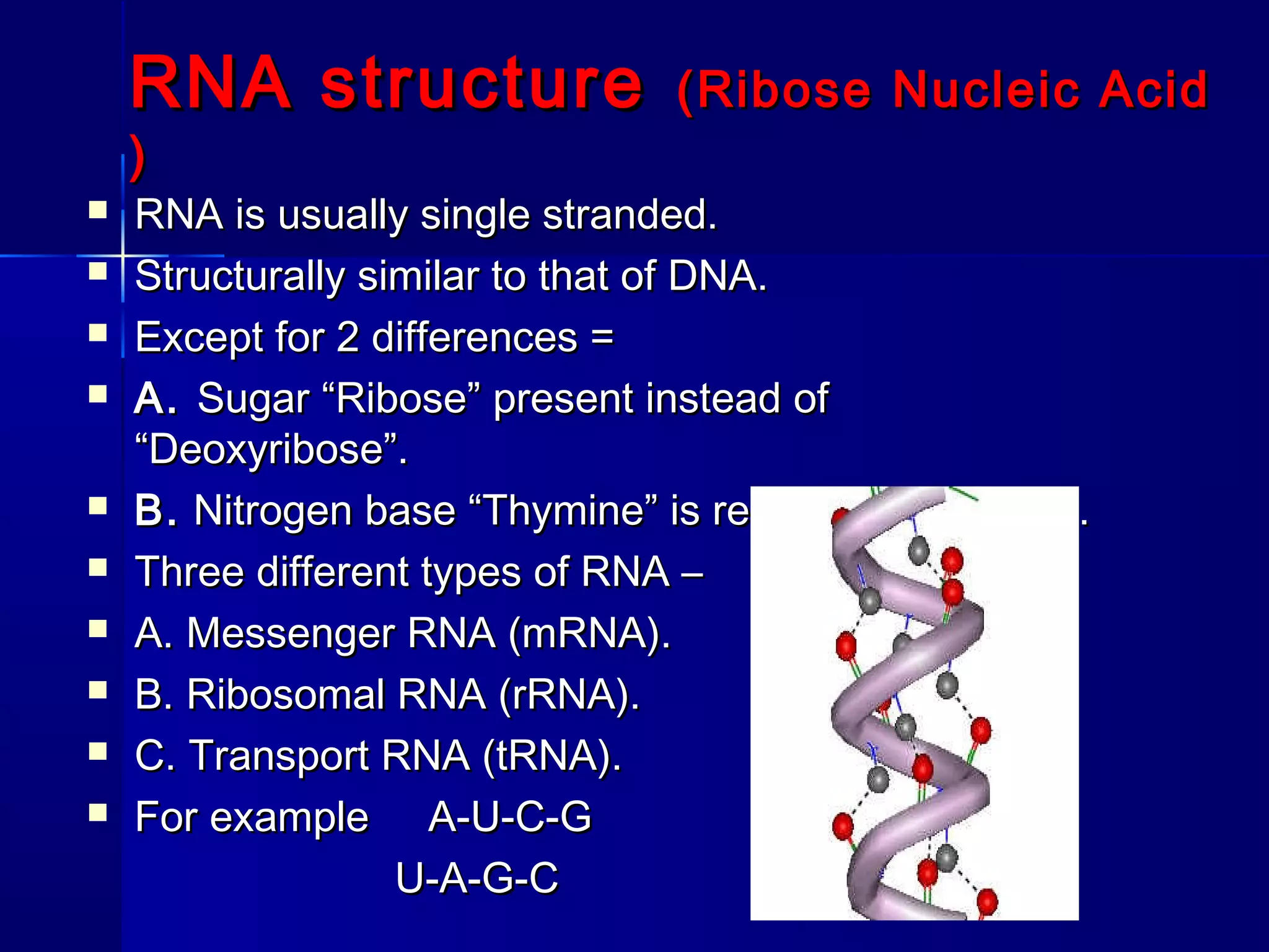 Bacterial genetics | PPT