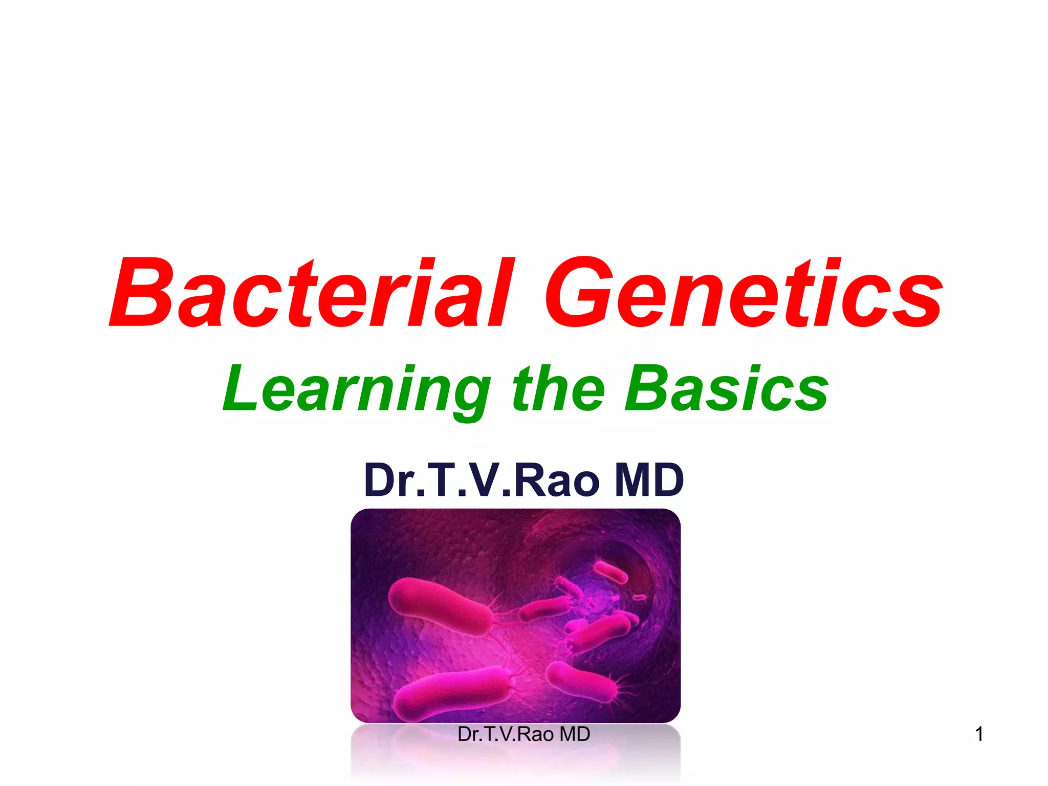 Bacterial genetics. Basics | PPT