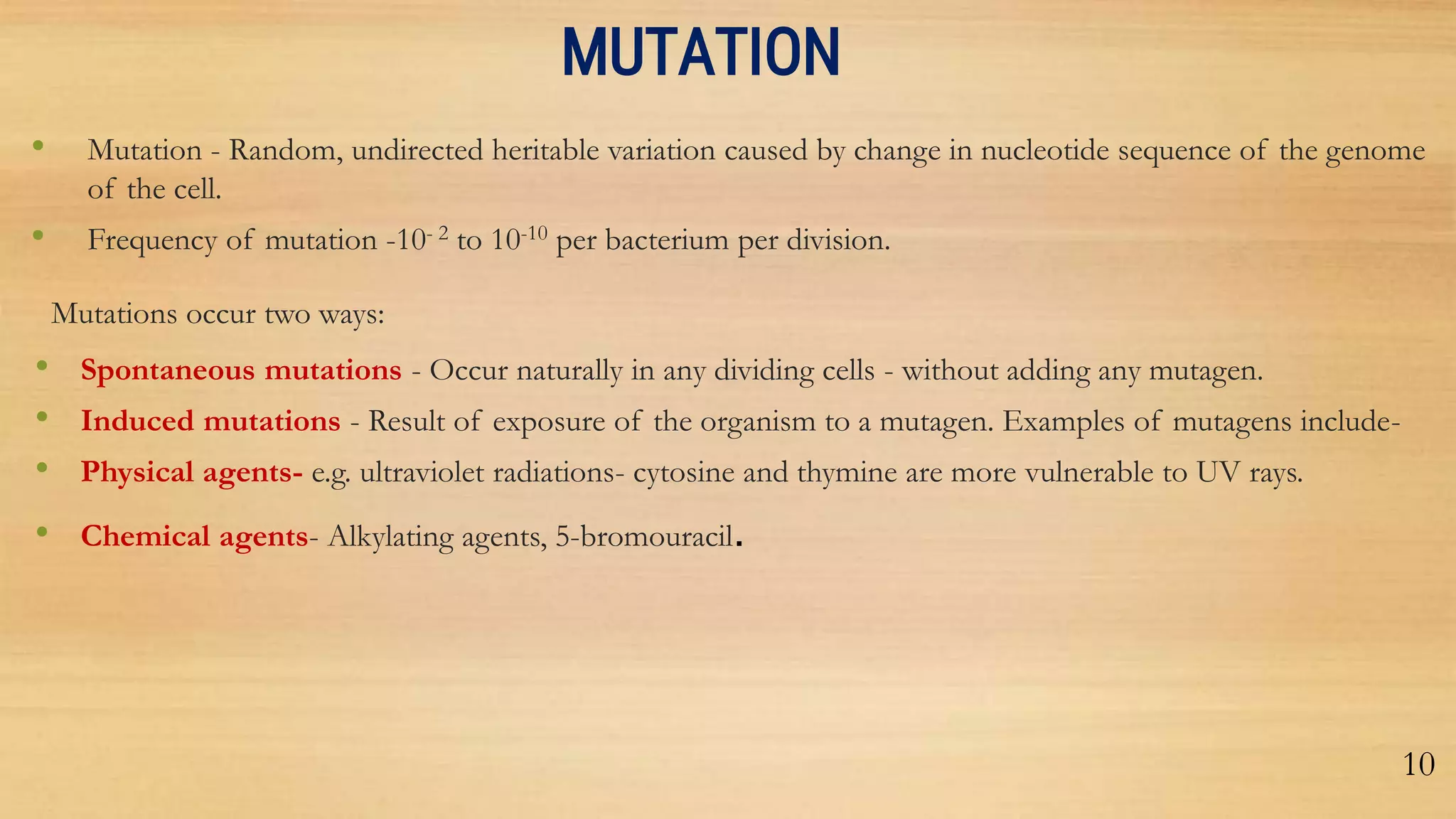 Bacterial geneticsfull ppt | PPTX