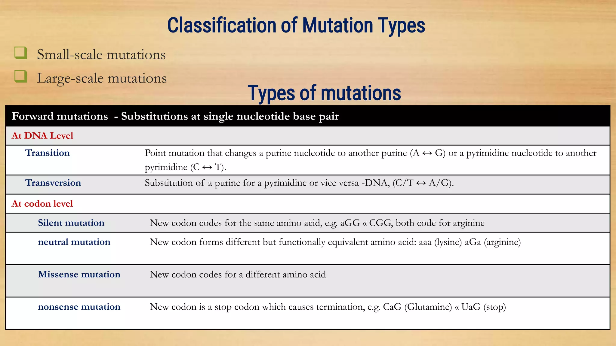 Bacterial geneticsfull ppt | PPTX