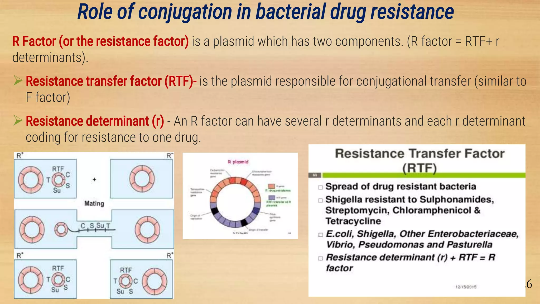 Bacterial geneticsfull ppt | PPTX