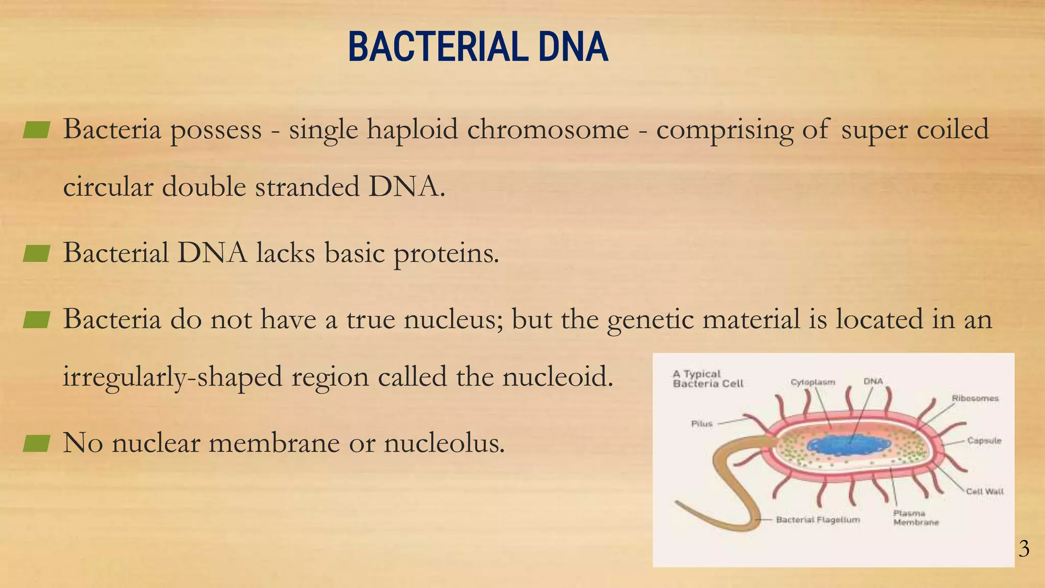 Bacterial geneticsfull ppt | PPTX