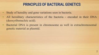 Bacterial geneticsfull ppt | PPTX