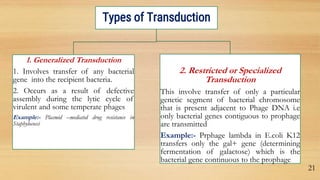 Bacterial geneticsfull ppt | PPTX