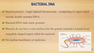 Bacterial geneticsfull ppt | PPTX