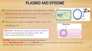 Bacterial geneticsfull ppt | PPTX