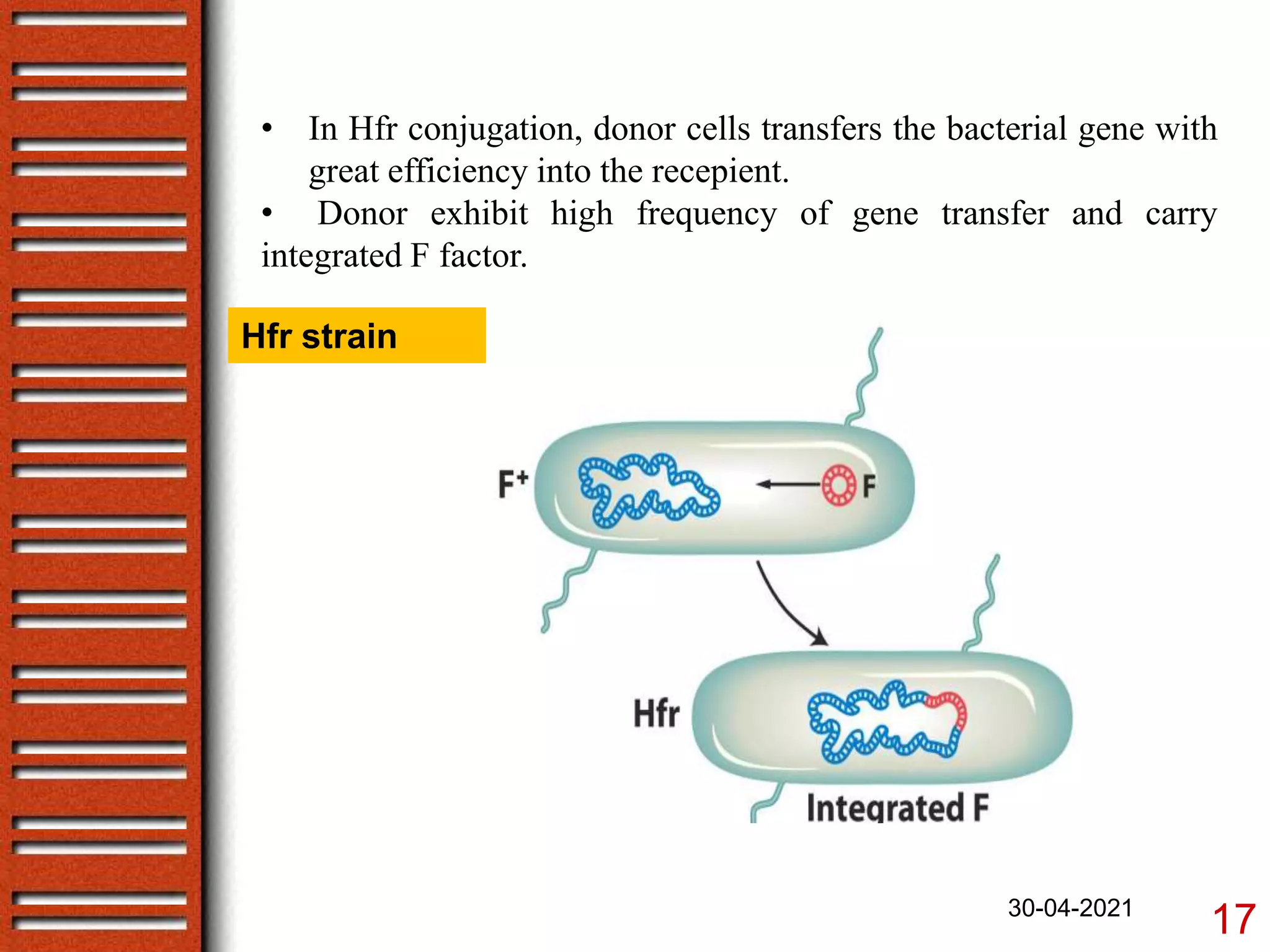 Bacterial genetics- gene mapping by recombination | PPTX
