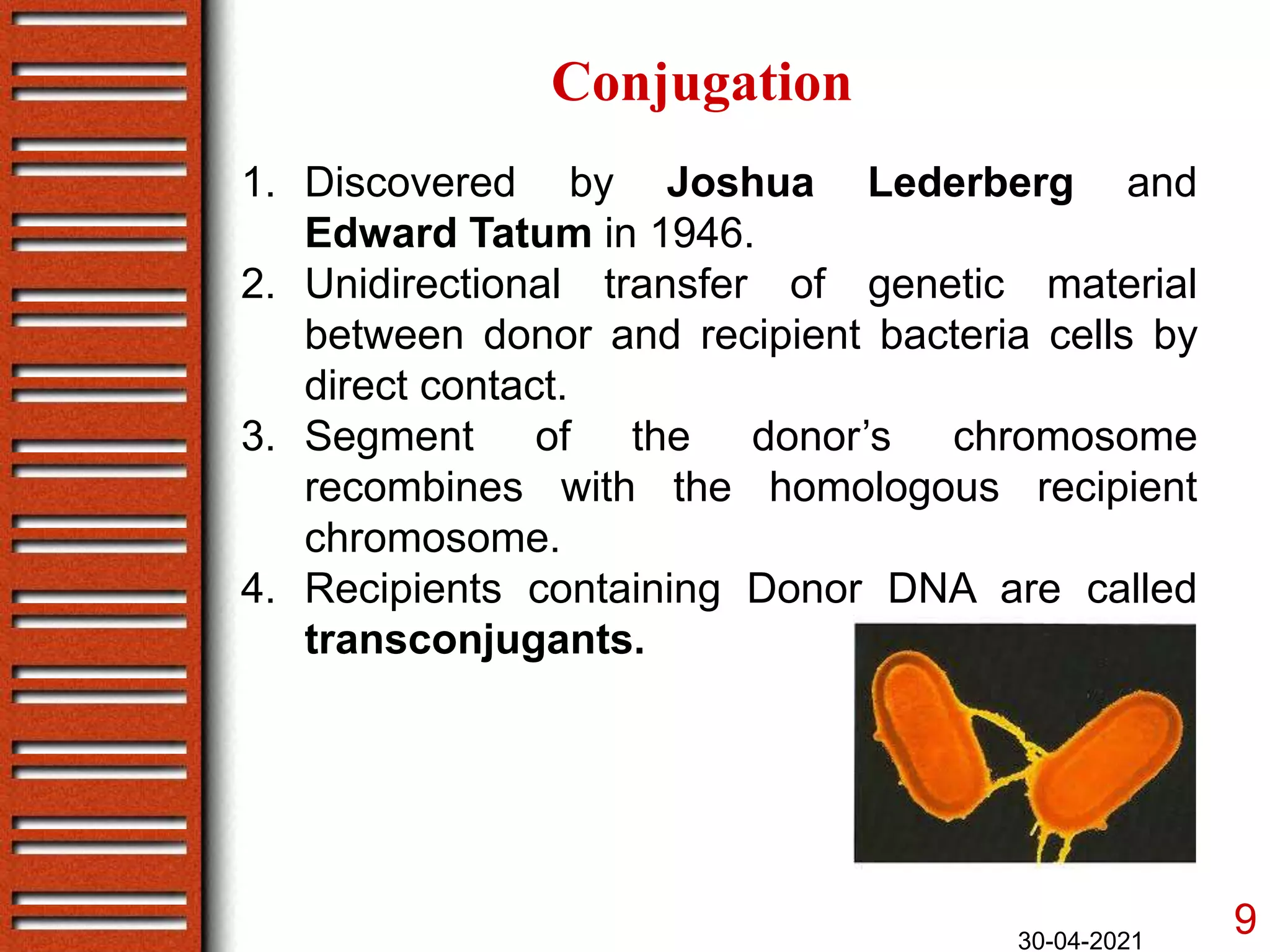 Bacterial genetics- gene mapping by recombination | PPTX