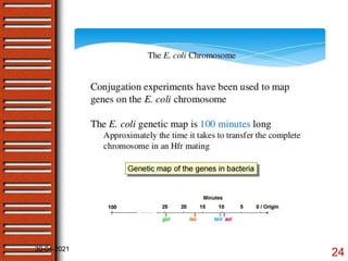 Bacterial genetics- gene mapping by recombination | PPTX