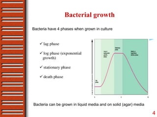 Bacterial genetics- gene mapping by recombination | PPTX
