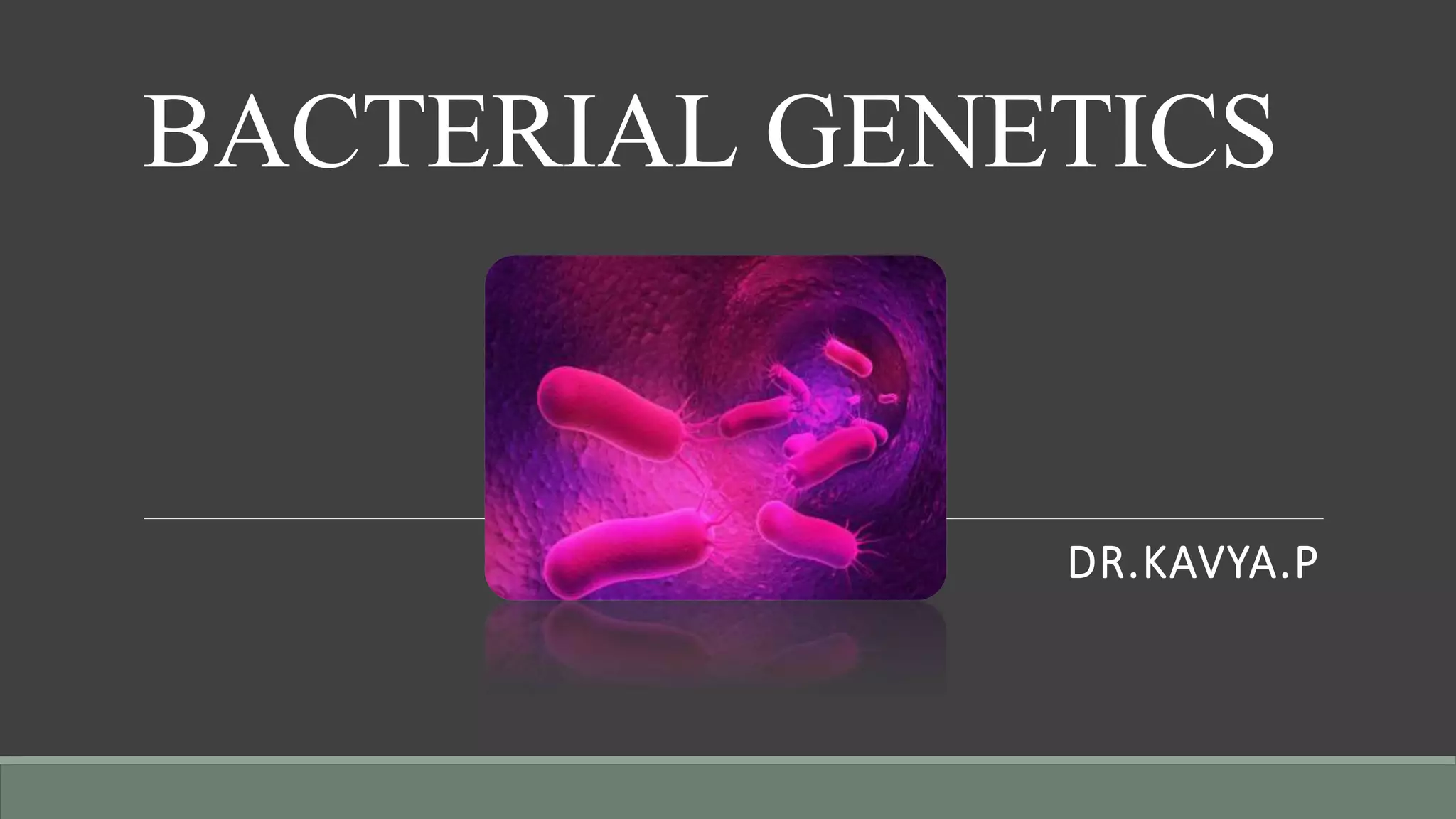Bacterial genetics | PPT