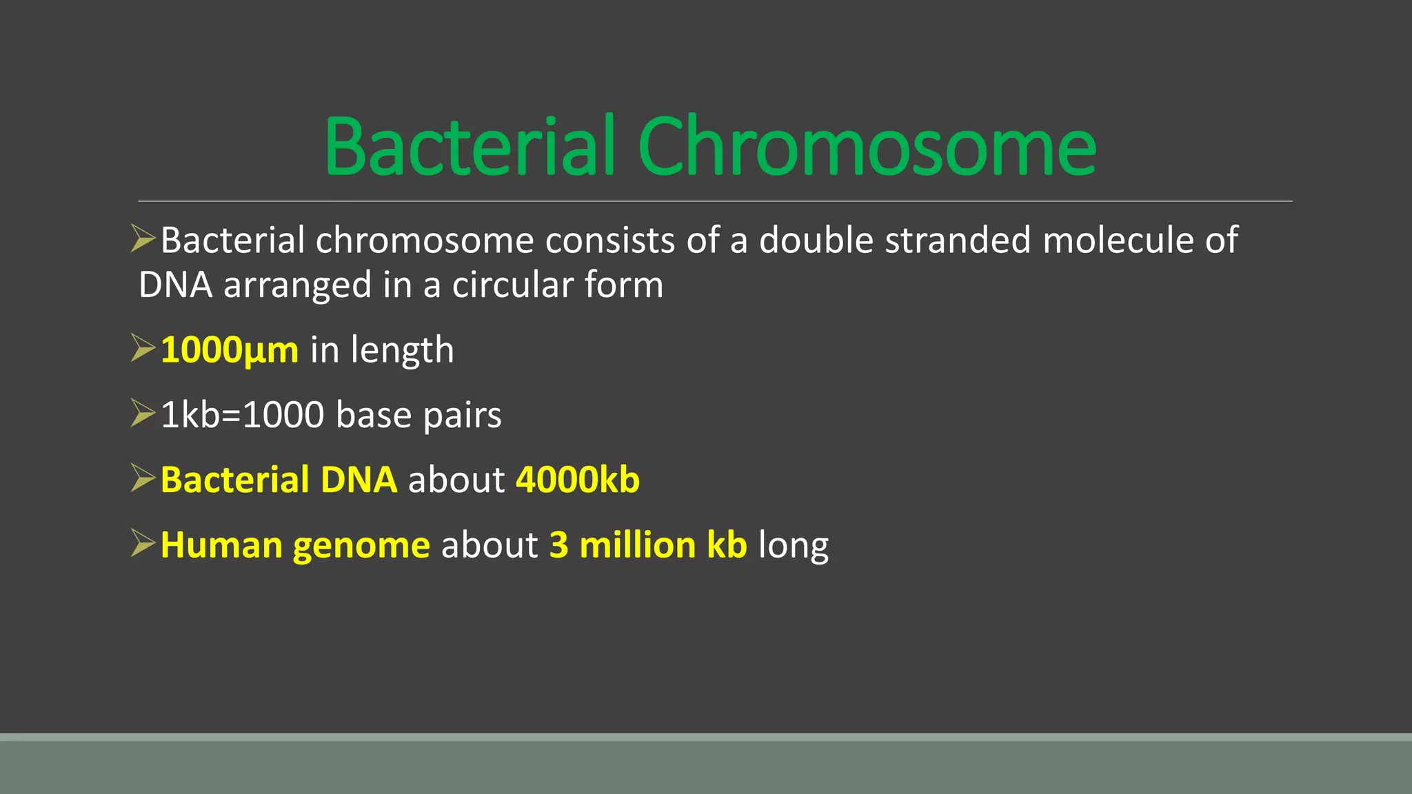Bacterial genetics | PPT