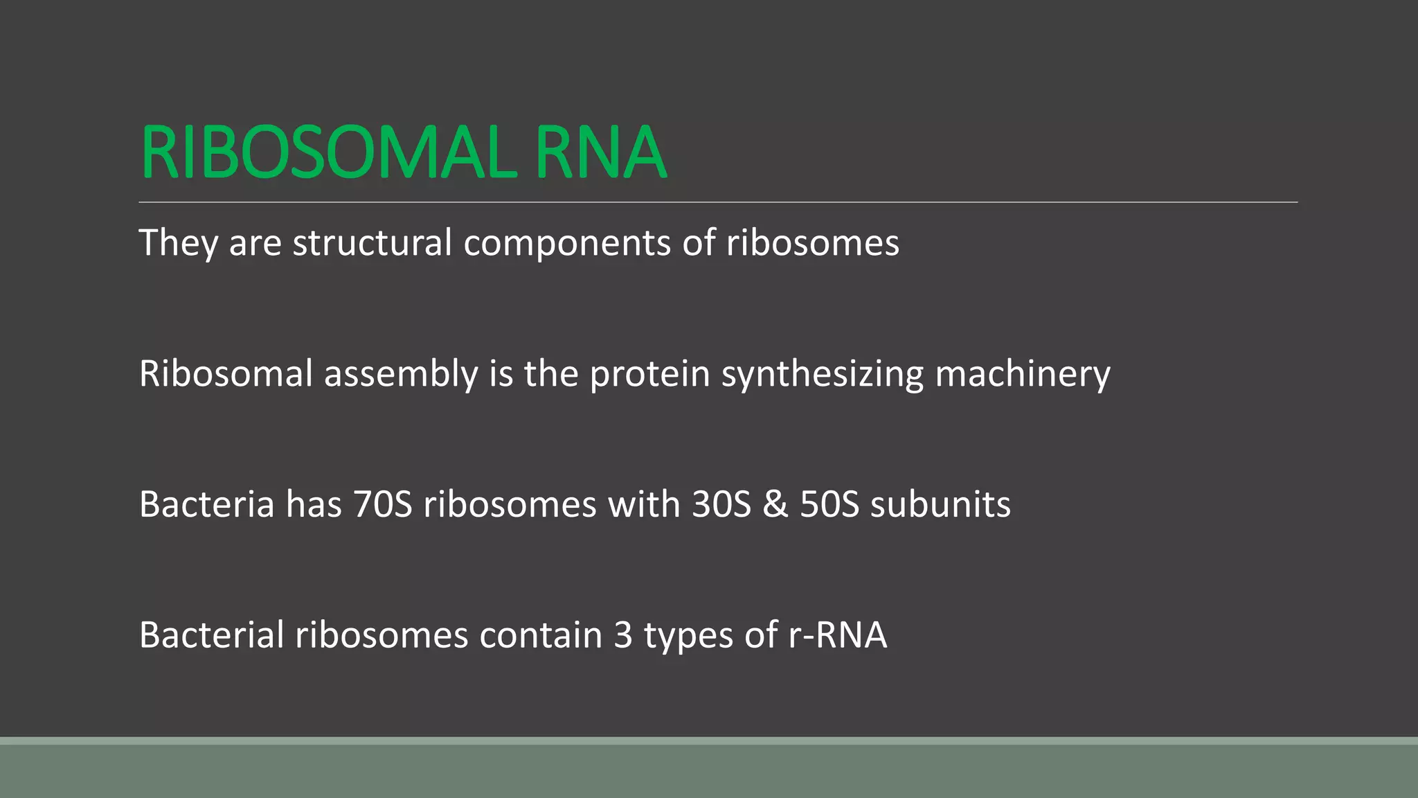 Bacterial Genetics Ppt