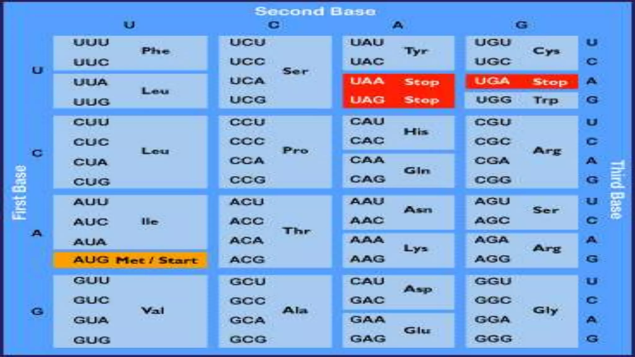 Bacterial genetics | PPT
